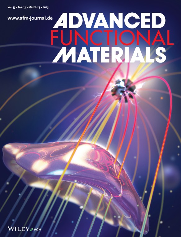 Back cover in Adv. Funct. Mater. unveiled | Faul Research Group
