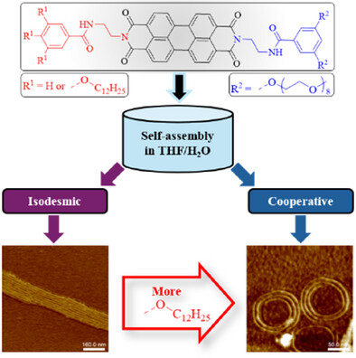 Paper published in Chemistry – A European Journal! | Faul Research Group